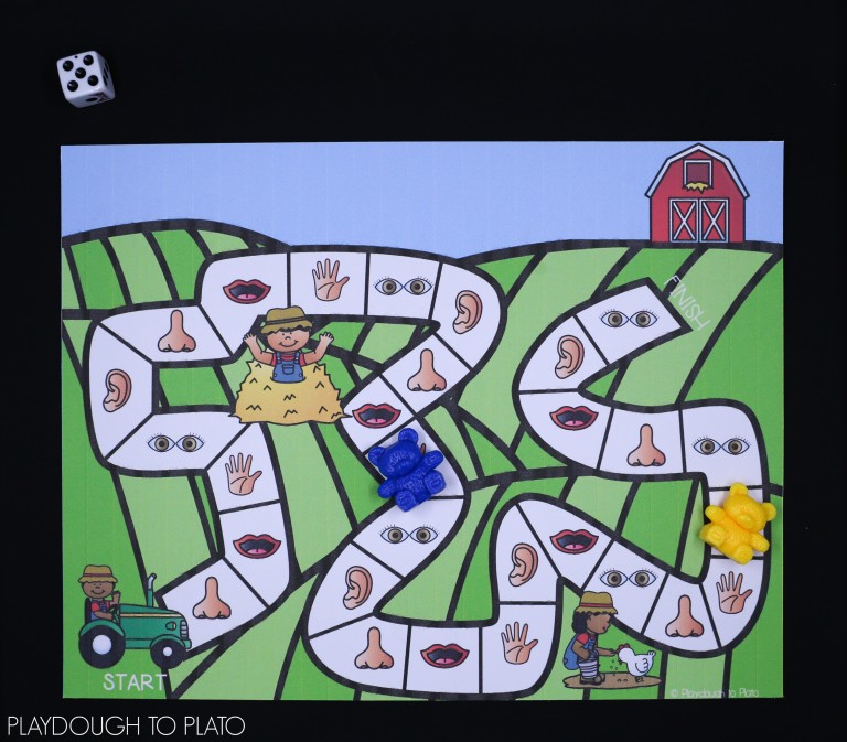 5 Senses Activity Pack - The Stem Laboratory