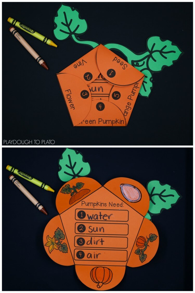 Pumpkin Activity Pack- Preschool and Kindergarten - The Stem Laboratory