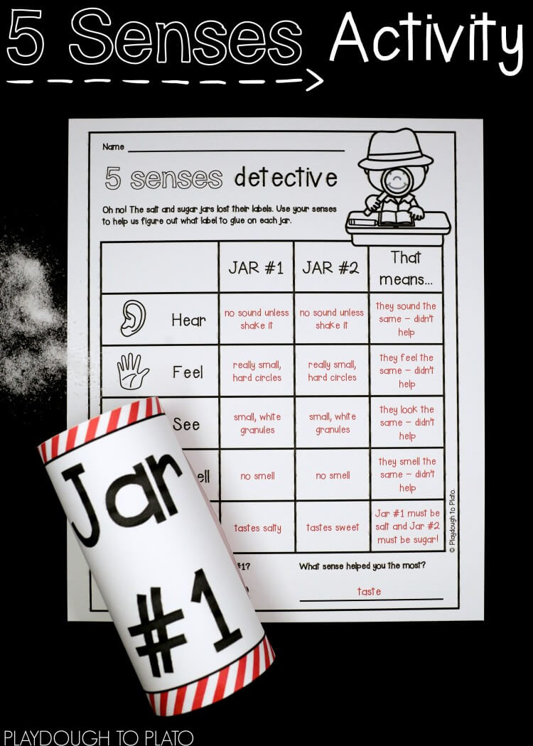 5 Senses Activity Pack - The Stem Laboratory