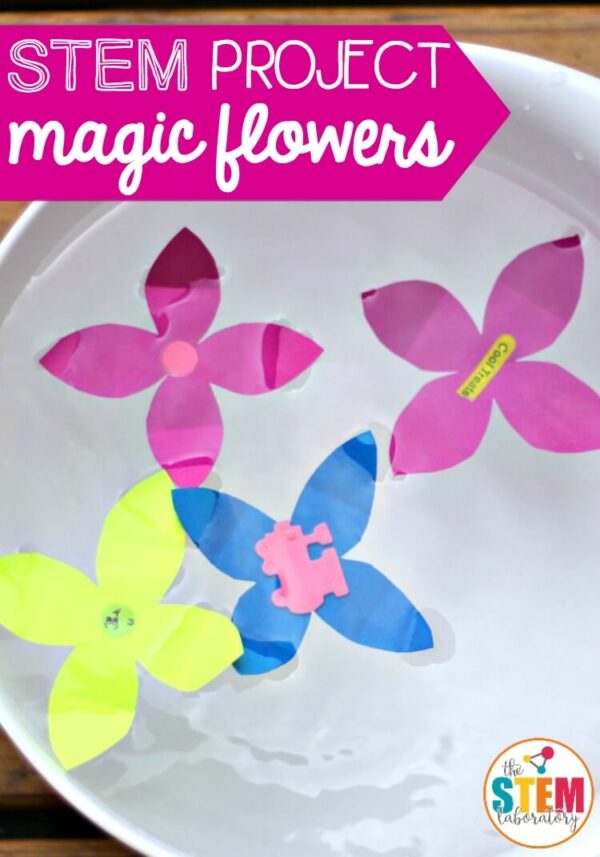 awesome-preschool-stem-project - The Stem Laboratory