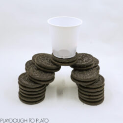 STEM Challenge: Build with Cookies - The Stem Laboratory