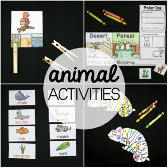 Animal Activity Pack - The Stem Laboratory