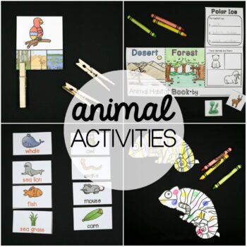 Animal Activity Pack - The Stem Laboratory
