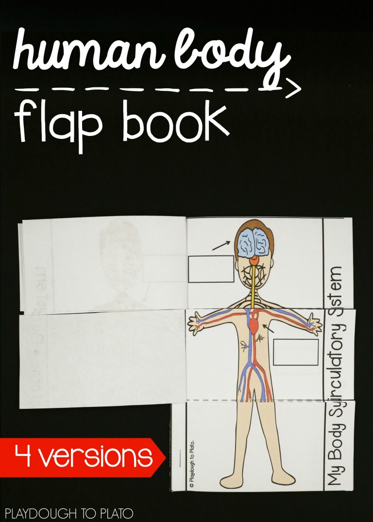 Human Body Systems - The Stem Laboratory