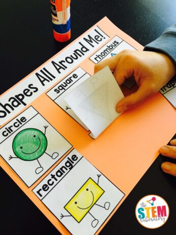 2D Shapes Sorting Activity - The Stem Laboratory