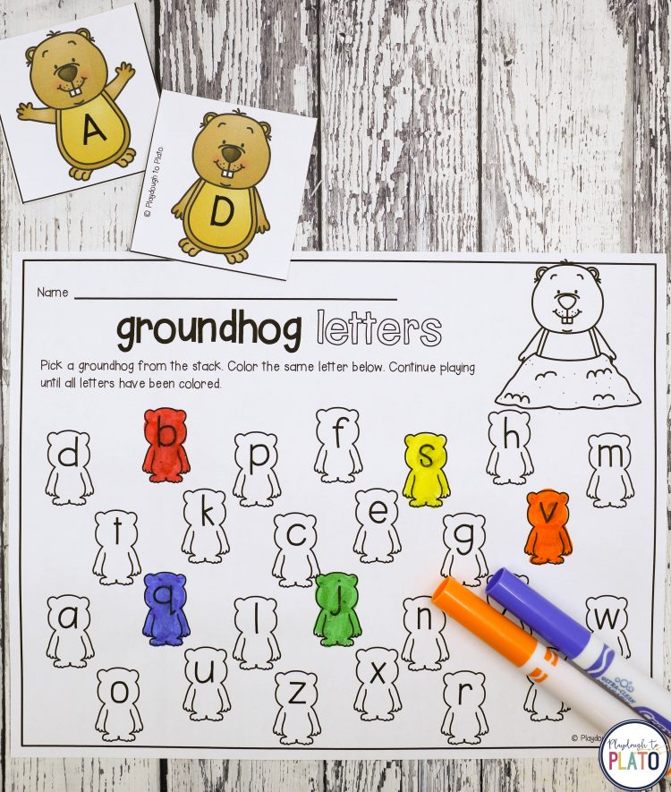 Groundhog Day Centers - The Stem Laboratory