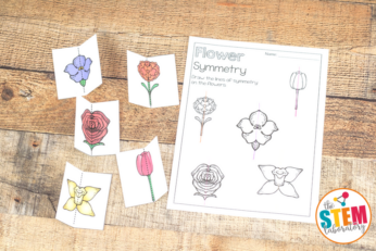 Flower Symmetry Activities - The Stem Laboratory