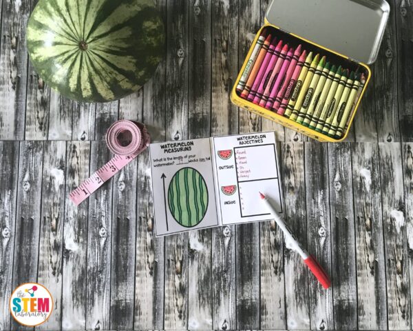 Watermelon STEM Book - The Stem Laboratory