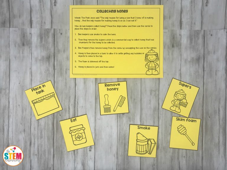 Honey Science - The Stem Laboratory
