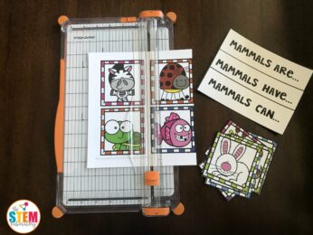 Mammal Sort - The Stem Laboratory