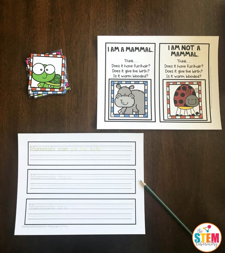 Mammal Sort - The Stem Laboratory