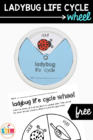 Ladybug Life Cycle Wheel Craft - The Stem Laboratory