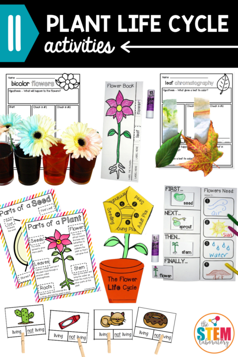 Plant Activity Pack - The Stem Laboratory