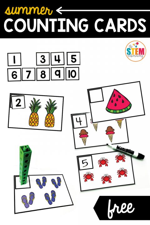 Summer Counting Cards - The Stem Laboratory